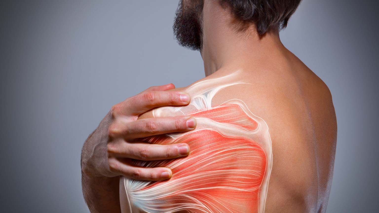 How to Treat Shoulder Blade Pain - True Physio